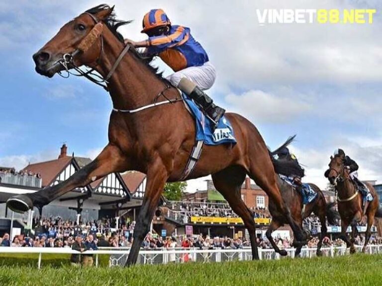 Cách đặt tên cho ngựa đua theo nguyên tắc phổ biến nào?